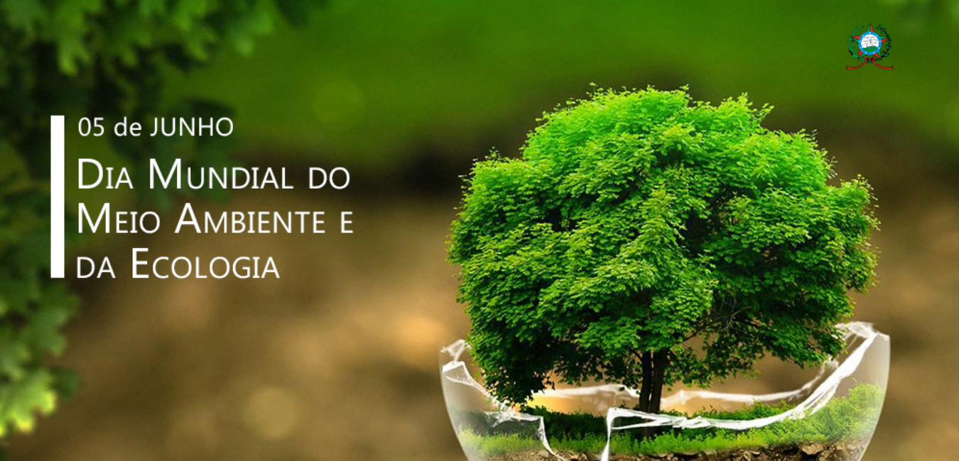 5 de junho: Dia Mundial do Meio Ambiente - O Povo News